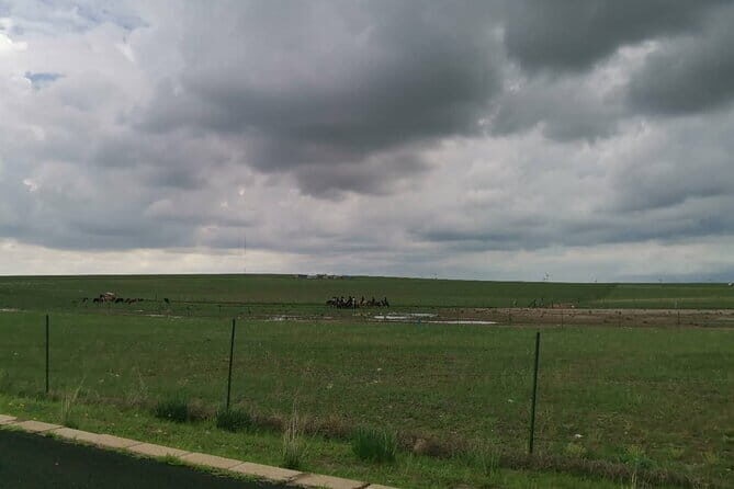 Full-Day Private Tour in Xilamuren Grassland with Lunch - Why This Tour Offers Good Value