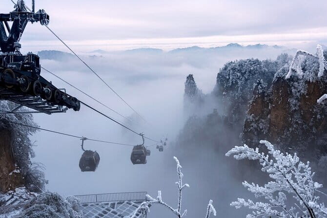 Full-Day Private Tour of Zhangjiajie National Forest Park - What’s Included & What’s Not