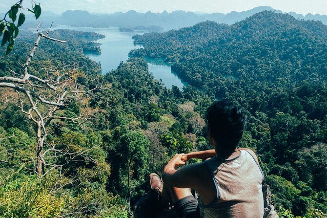 Full-Day Safari tour to Khao Sok Jungle from Phuket - Analyzing the Value