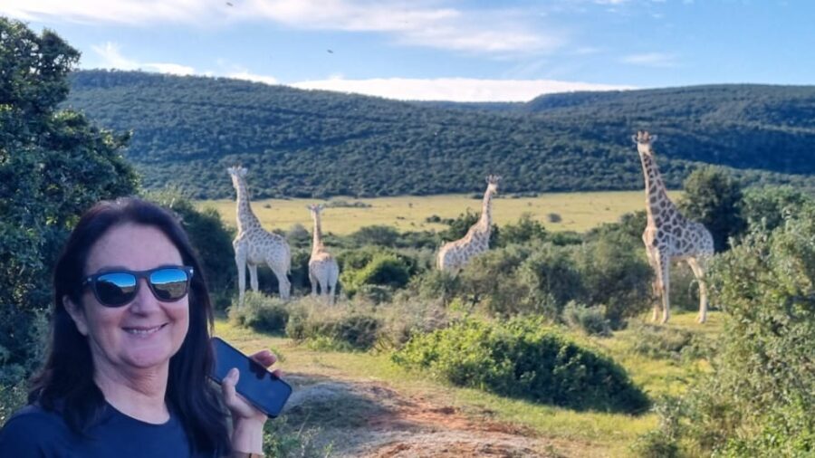 Full-Day Schotia Game Reserve & Giraffe Walk (Open 4x4) - What Sets This Tour Apart?