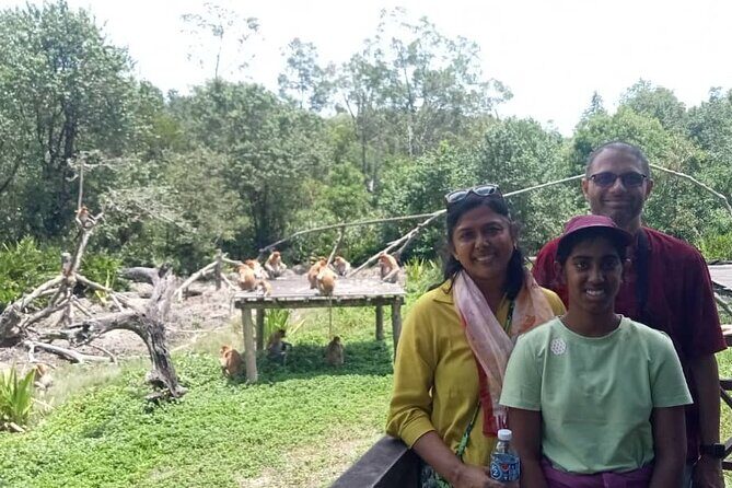 Full-Day Sepilok Orangutan and Proboscis Monkey from Sandakan or Kota Kinabalu - Who Would Love This Tour?