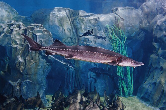 Full-Day Shanghai Aquarium Xintiandi and Jingan Private Tour - Xintiandi: A Blend of Old and New