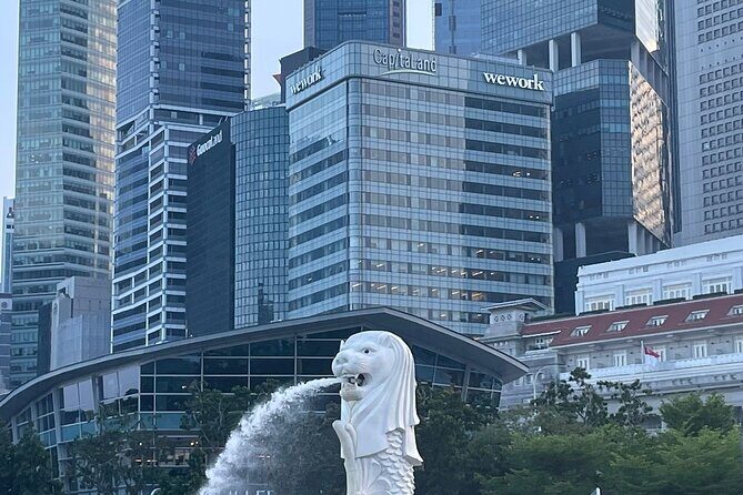 Full Day Singapore City Tour (With Flyer,Skypark and GBB) - What Travelers Say About This Tour