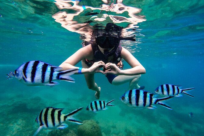 Full Day Snorkeling in Perhentian Island - The Equipment and Service