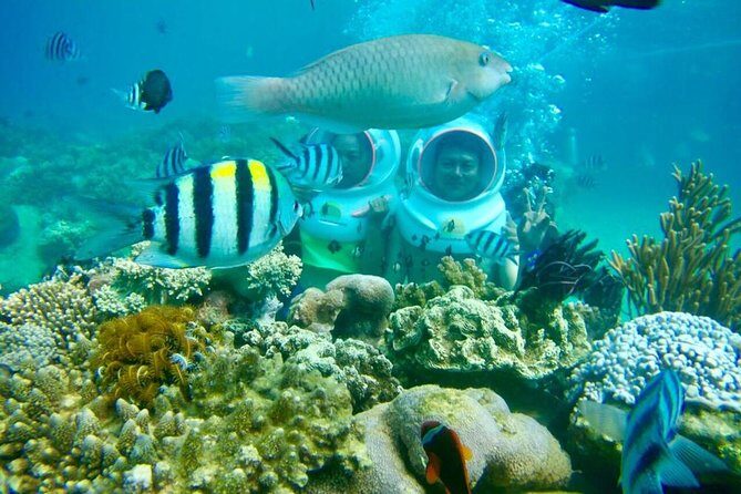 Full-Day Speedboat Guided Tour With Sea Walking Included Lunch And Entrance Fees - The Experience with Nha Trang Day Tours