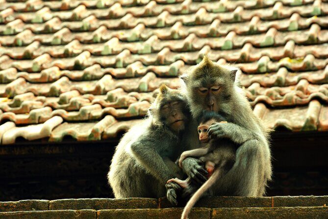 Full Day Surface of Ubud Private Tour - The Value of This Tour
