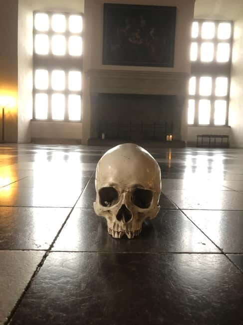 Full-Day Tour; Castle, Palace, Cathedral and Viking Ships - Putting It All Together: Who Is This Tour For?