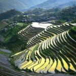 Full-day Tour: Longji Rice Terraces & Minority Villages - Considerations and Tips
