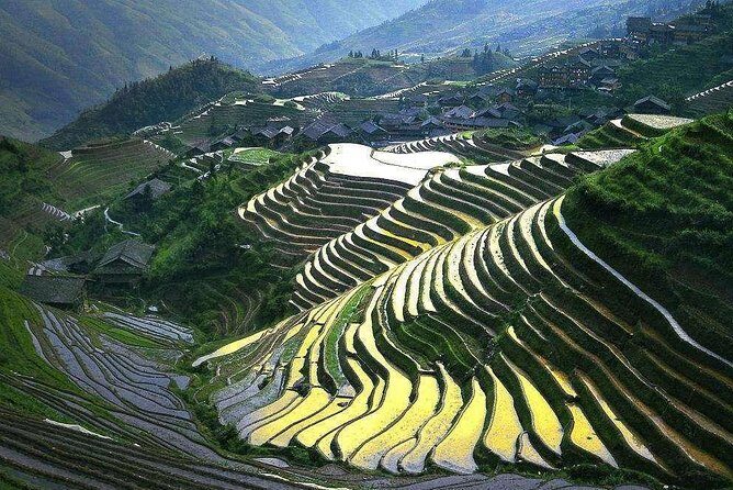 Full-day Tour: Longji Rice Terraces & Minority Villages - Considerations and Tips