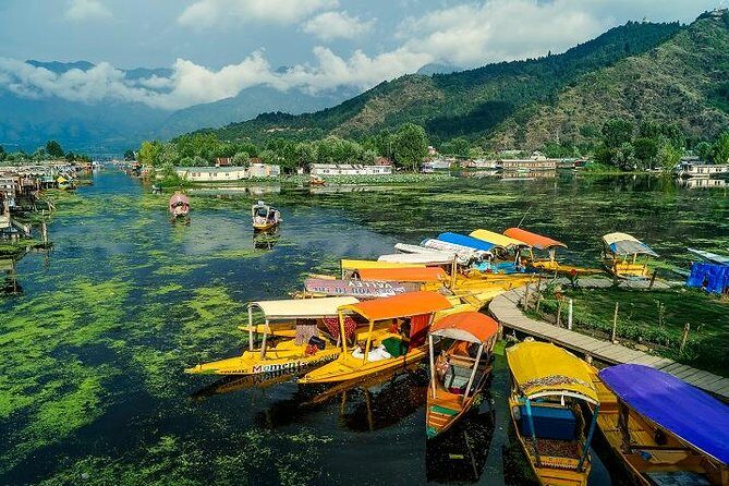 Full day tour of Srinagar with Entrance Fee, Guide & Lunch - What Travelers Say
