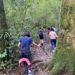 Full day Trekking On Langbiang Mountain - Detailed Breakdown of the Itinerary