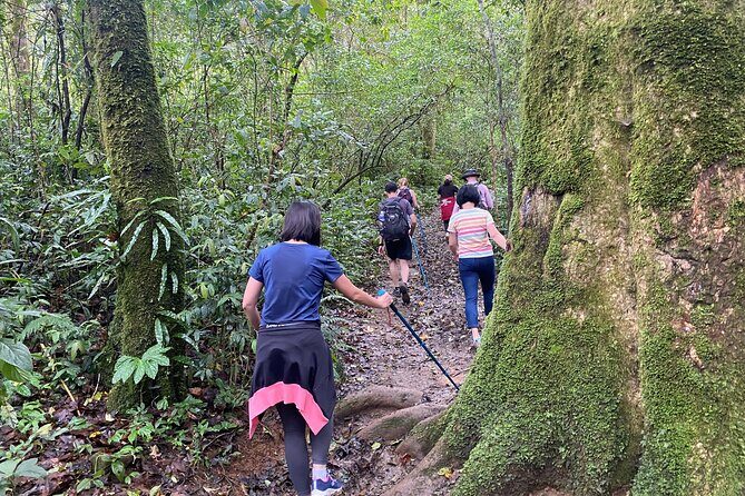 Full day Trekking On Langbiang Mountain - Detailed Breakdown of the Itinerary