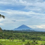 Full-day Ubud Private tour : Cultural Heritage - Authenticity & Reviews