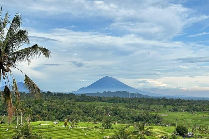 Full-day Ubud Private tour : Cultural Heritage - Authenticity & Reviews