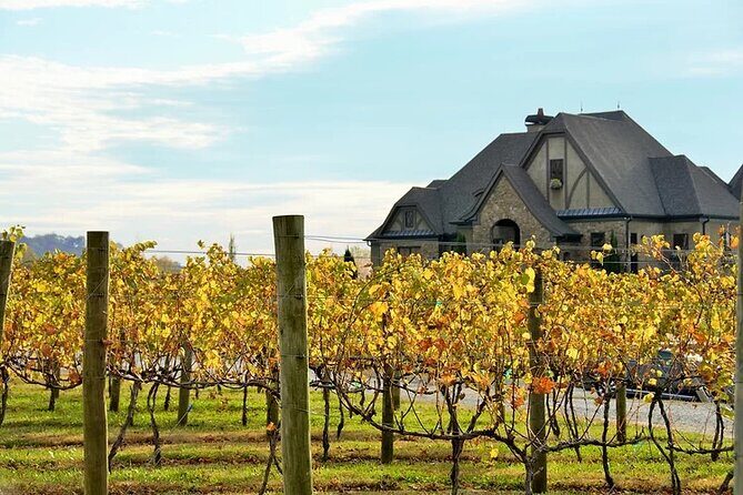 Full-Day Wine Country Wine Tastings From Atlanta - The Wines and Tasting Experience
