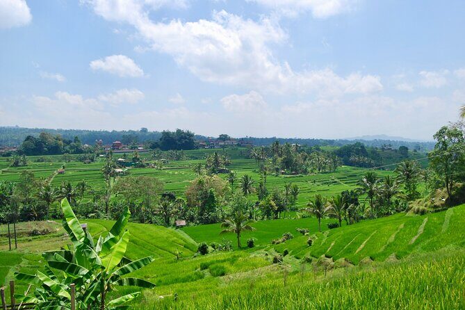 Full Day Wonders of Bali Private Tour with Pickup and Lunch - Who Is This Tour Best For?