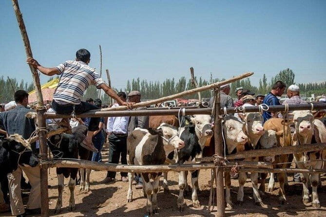 Full-inclusive Kashgar Private Day Tour with Sunday Market - Transportation and Timing
