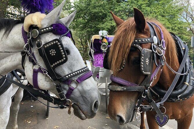 Full loop Private Horse Carriage Ride in Central Park 45 Minutes - Practical Details