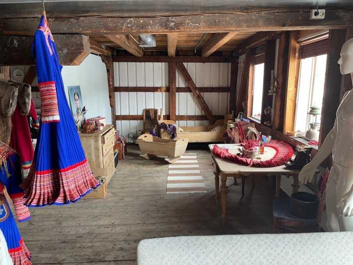 Full steam museum - Guided Sami Culture escursion - Who Is This Tour Best Suited For?