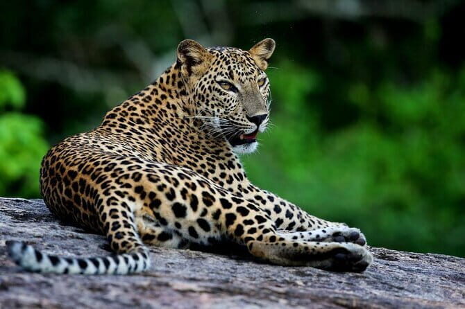 Galle/Mirissa/Tangalle: Transfer to Ella & Yala/Udawalawa Safari - The Practicalities: What’s Included and What’s Not