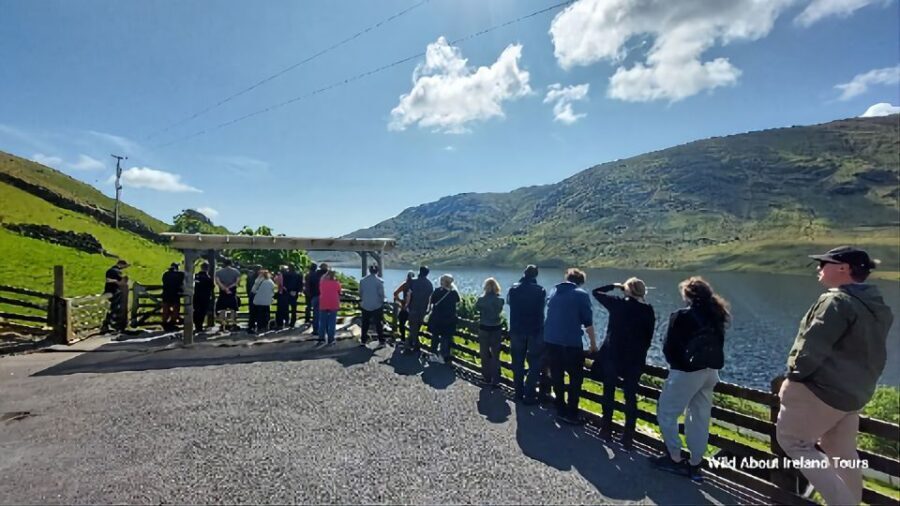 Galway: Kylemore, Sheep Farm and Connemara Private Day Tour - What to Expect from the Itinerary