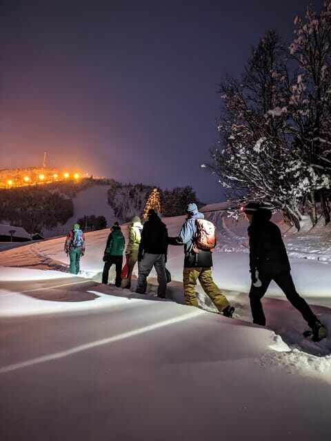 Geilo: Evening family tour with sledge, campfire and fun! - The Itinerary: What to Expect on Your Evening