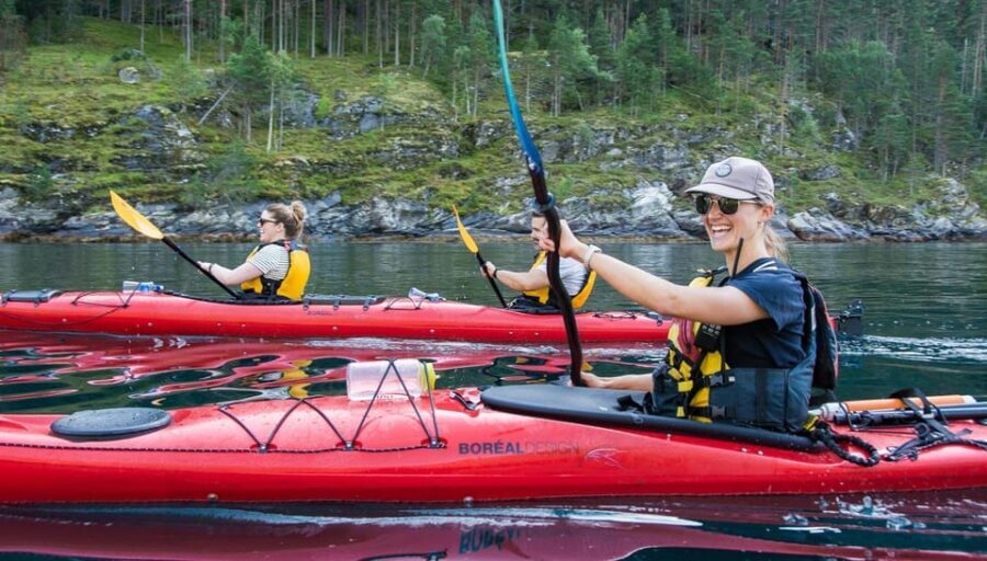 Geiranger: Kayak tour with guide - What to Expect During the Tour