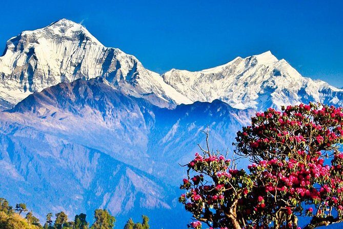 Ghorepani Poon Hill Trek - What to Expect From the Accommodations and Meals