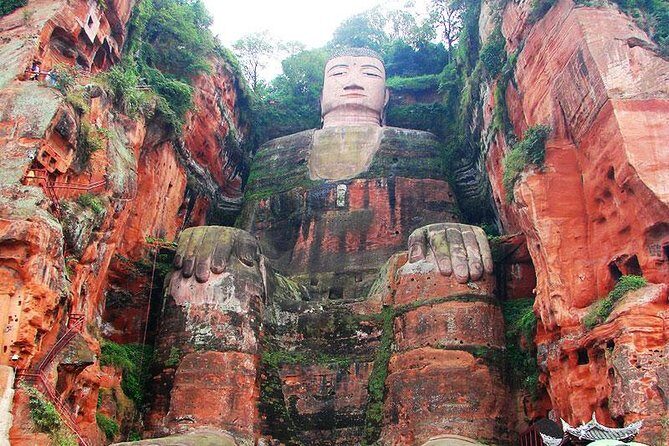 Giant Panda and Leshan Buddha Day Trip from Chengdu - Who Will Appreciate This Tour?