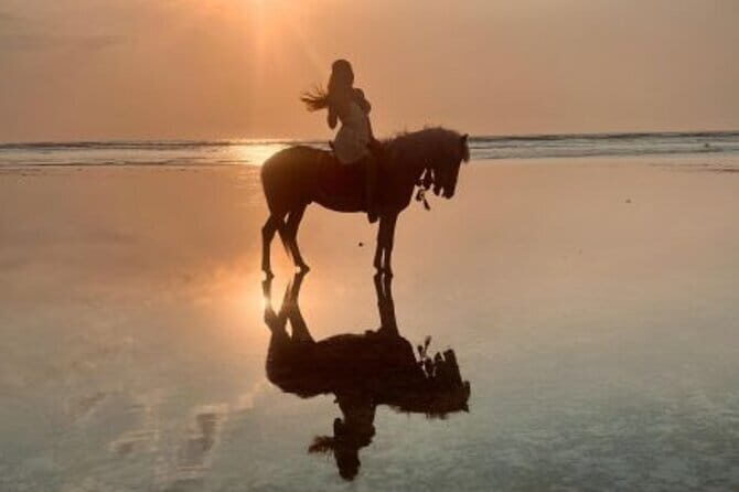 Gili Trawangan Beach Horseback Riding with Pickup Hotel - The Value of This Experience