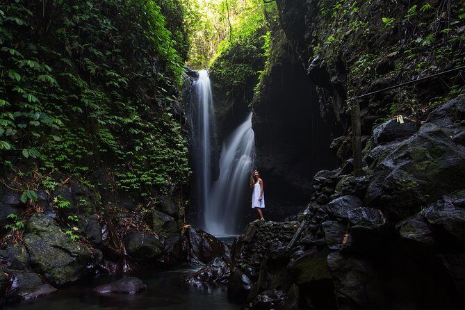 Gitgit and Alingaling Waterfalls Private Group Tour - Full Day - Value for Money and Overall Experience