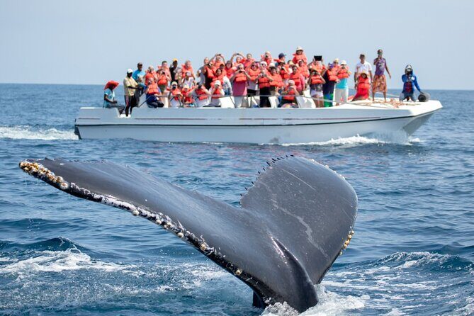 Go City: Los Angeles Explorer Pass - Choose any 2, 3, 4, 5 or 7 Attractions - Who Would Love This Pass?