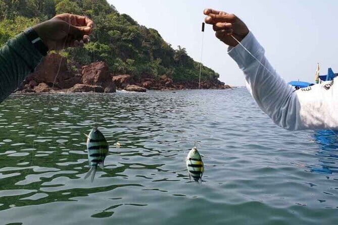 Goa Scuba Diving at Grand Island Join Tour - Authentic Experiences and the Realities