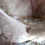 Grand Staircase Full-Day Private Tour - Highlights of the Main Stops