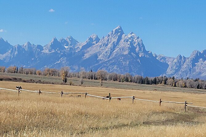 Grand Teton National Park Private Wildlife Safari - Dawn/Dusk - Who Should Consider This Tour?