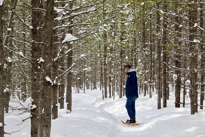 Grand Teton Private Winter Tour - Who Will Love This Tour?