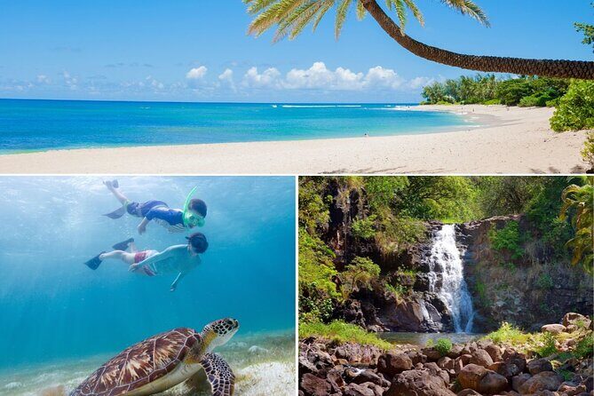 Grand Tour Around Oahu- Swim at Waterfall & Turtle Beach - Why Travelers Love This Tour