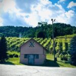 Grandfather Mountain Private Wine & Dine Tour from Asheville - The Value of the Tour