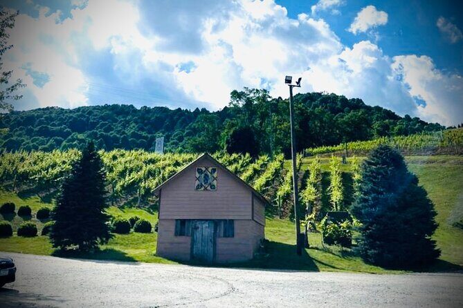 Grandfather Mountain Private Wine & Dine Tour from Asheville - The Value of the Tour