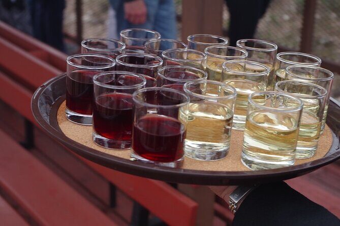 Grape Train Escape: Wine Tasting and Verde Canyon Railroad Adventure - Analyzing the Experience