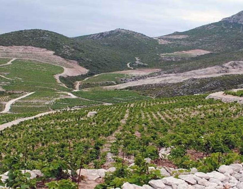 Group Tour From Dubrovnik: Ston and Peljesac Wineries Tour - Who Will Enjoy This Tour?