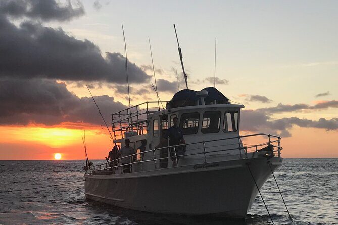 Guaranteed Whale Watch in Kona - The Sum Up