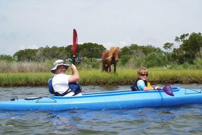 Guided Assateague Kayaking and Wildlife Discovery Tour - FAQ