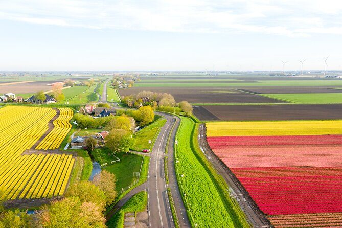 Guided Bike Tour along the Dutch Tulip Fields in Noord Holland - Summary: Who Should Consider This Tour?