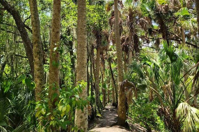 Guided Day Hike Through Florida's wild Backcountry. - The Itinerary: What to Expect from Start to Finish