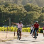 Guided Electric Bike Wine Tour Through Sonoma County - In-Depth Breakdown of the Itinerary