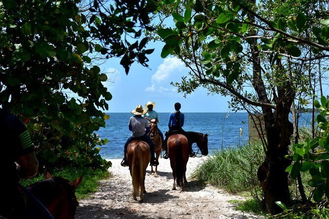 Guided Horseback Riding on The Pristine Waters of Miami Florida - Deep Dive into the Experience