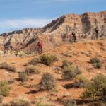 Guided Mountain Bike Tours - Zion - Pricing and Value