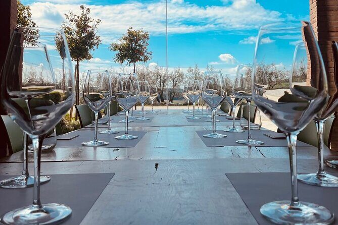 Guided Premium Tour in Lugana DOC - 5 wines from Perla del Garda - Why This Tour Shines