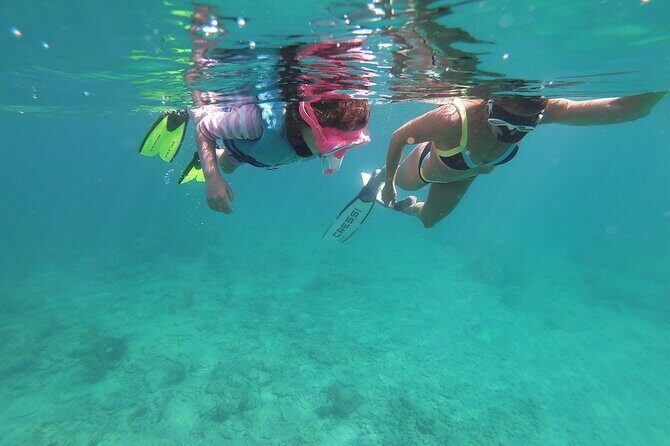 Guided Reef Snorkeling Tour in Pompano Beach - Who Will Love This Tour?